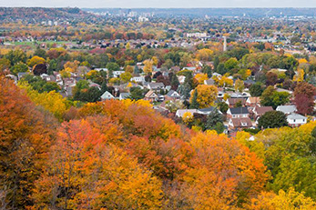 Independent Electricity System Operator (IESO)